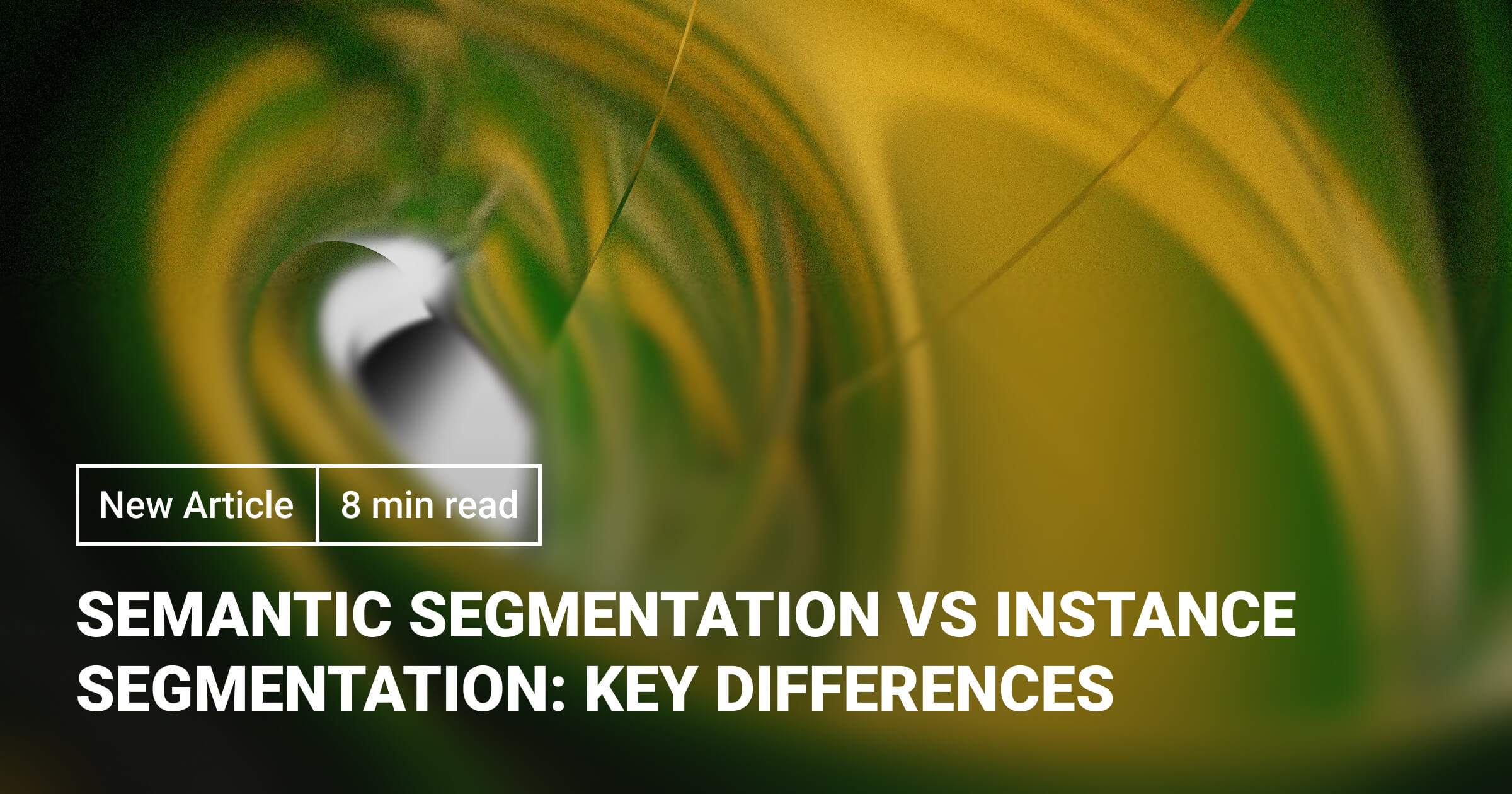 Semantic Segmentation vs Instance Segmentation: Differences in 2025 ...