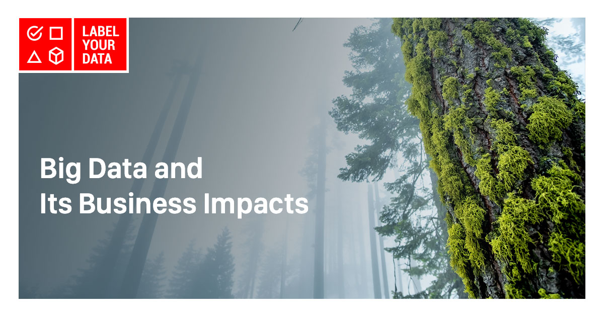 Big Data and Its Business Impacts | Label Your Data