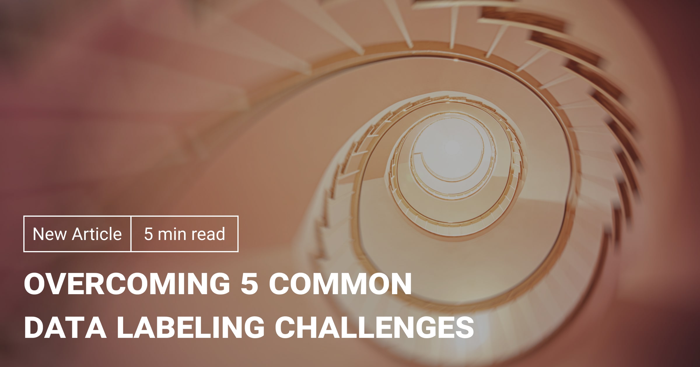 Overcoming 5 Common Data Labeling Challenges | Label Your Data