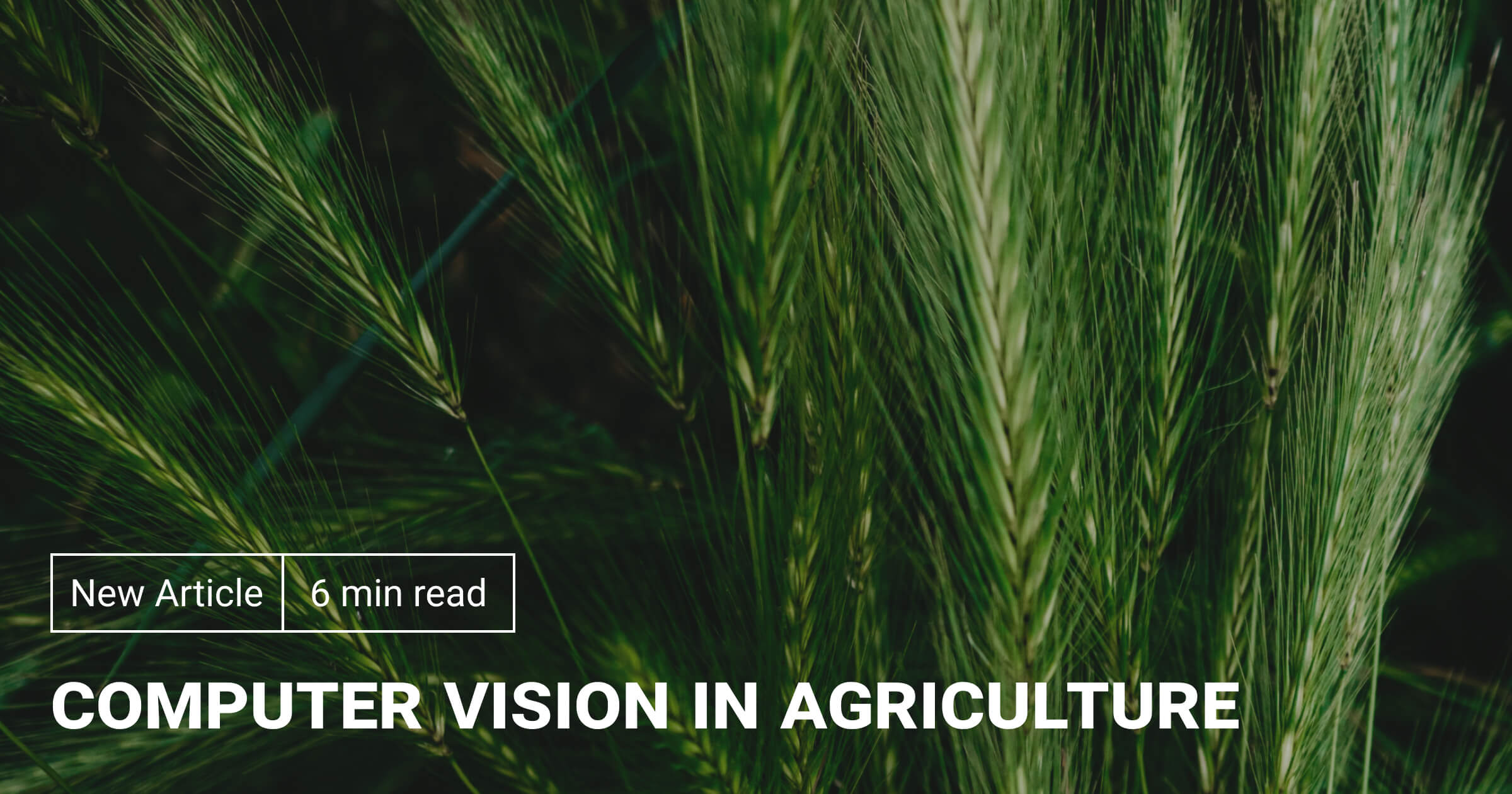 Computer Vision in Agriculture: The Era of Smart Farming | Label Your Data