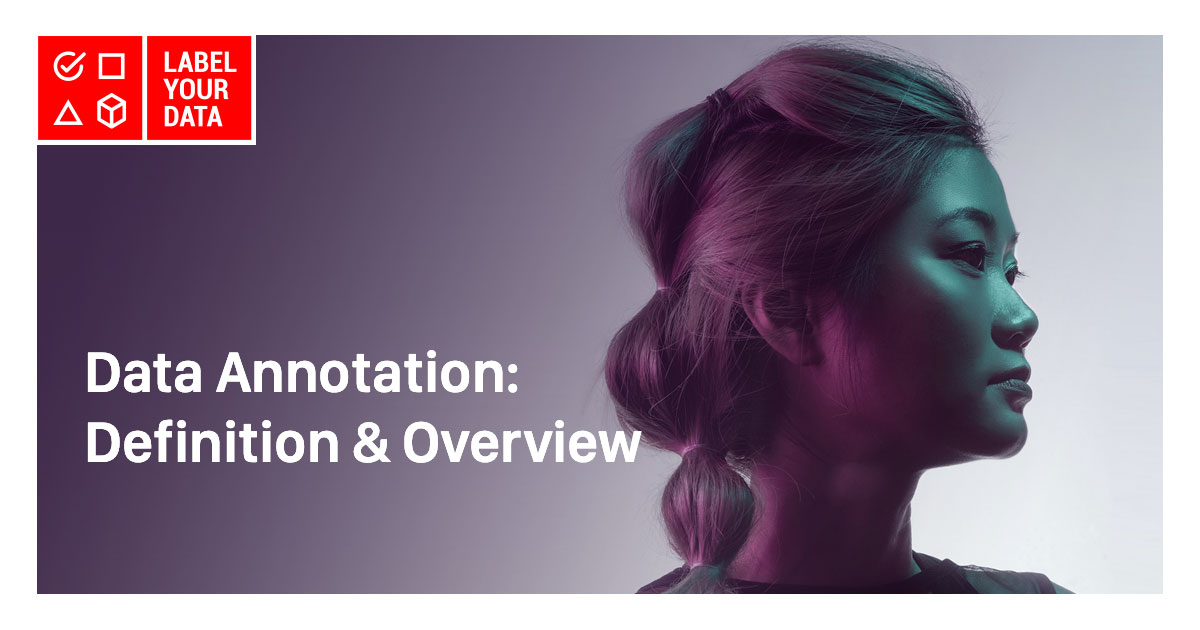 Data Annotation: Definition and Process Overview | Label Your Data