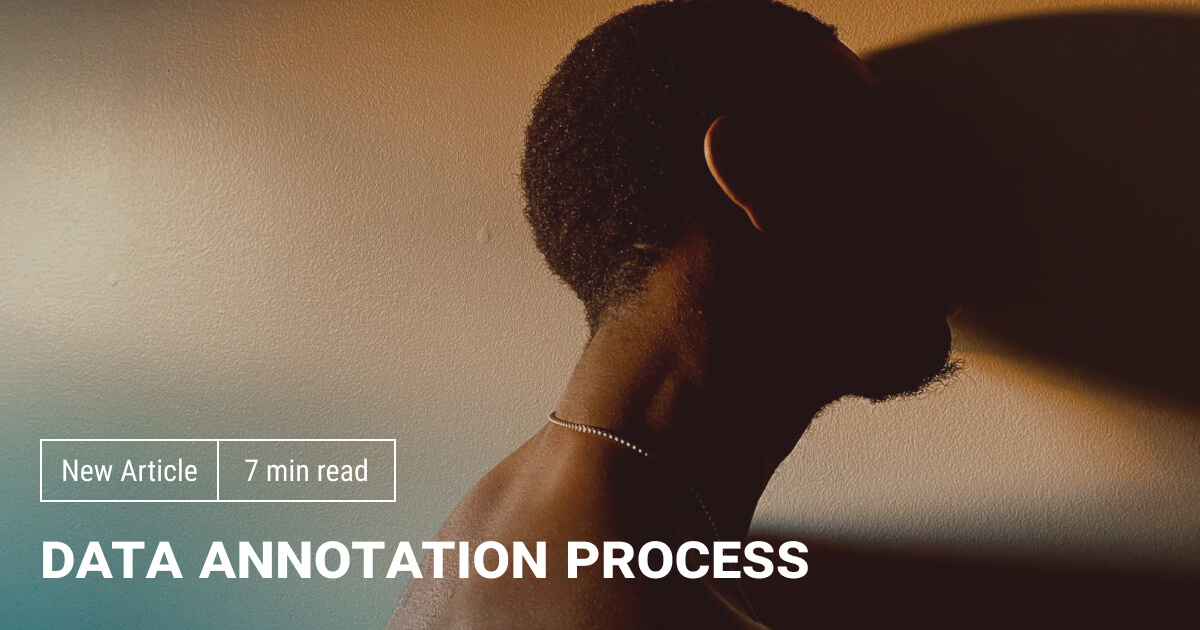 Data Annotation Process Breakdown: Helping Machines Reaching the Ideal ...