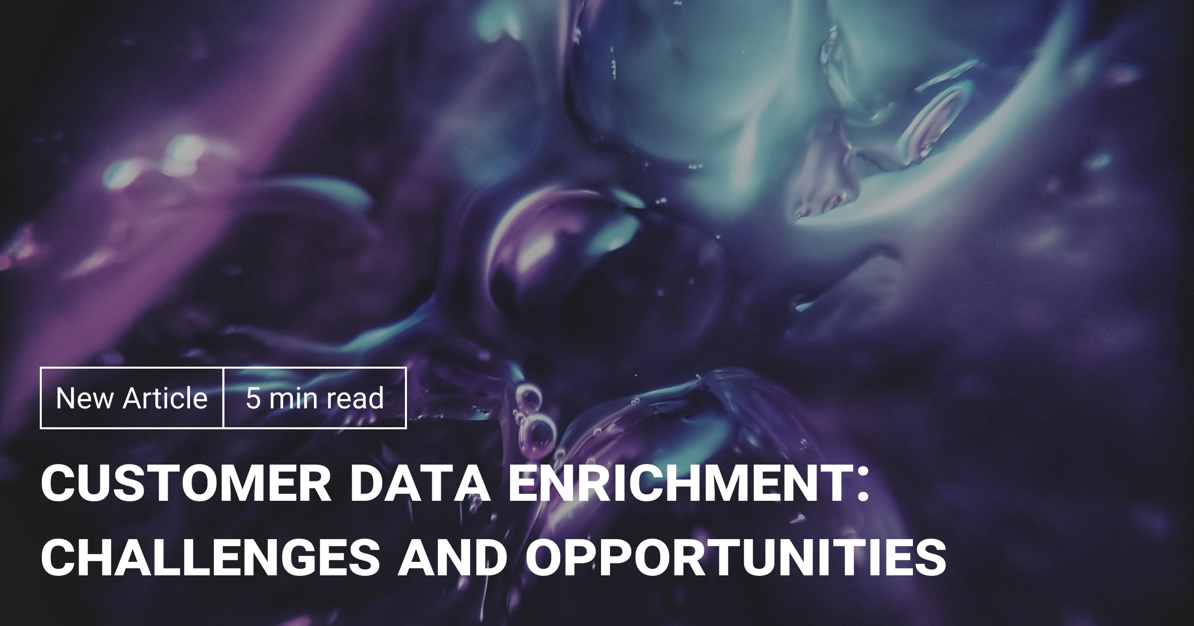 Customer Data Enrichment: Challenges and Opportunities | Label Your Data