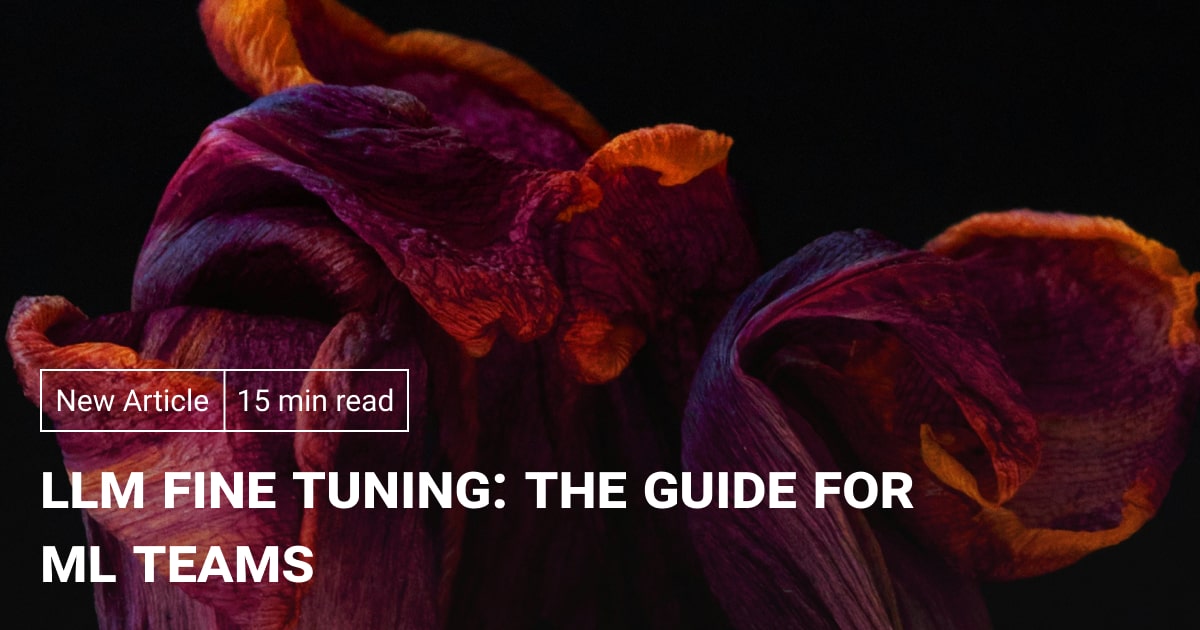 LLM Fine Tuning: The 2026 Guide for ML Teams | Label Your Data
