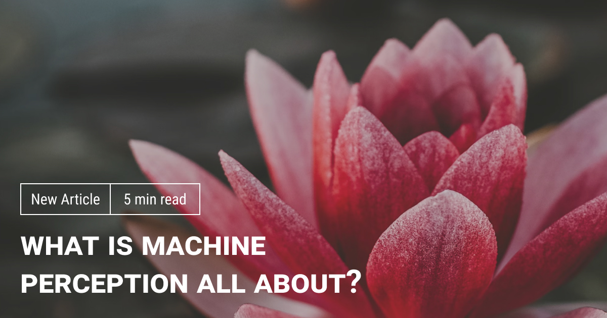 Machine Perception as the Ability and the Ultimate Goal in AI | Label ...