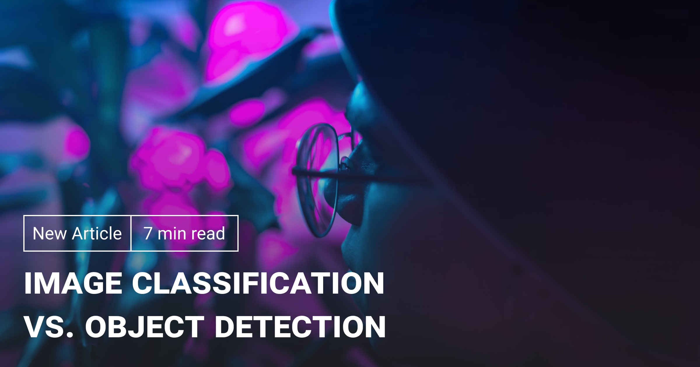 Image Classification vs. Object Detection: Key Differences | Label Your Data