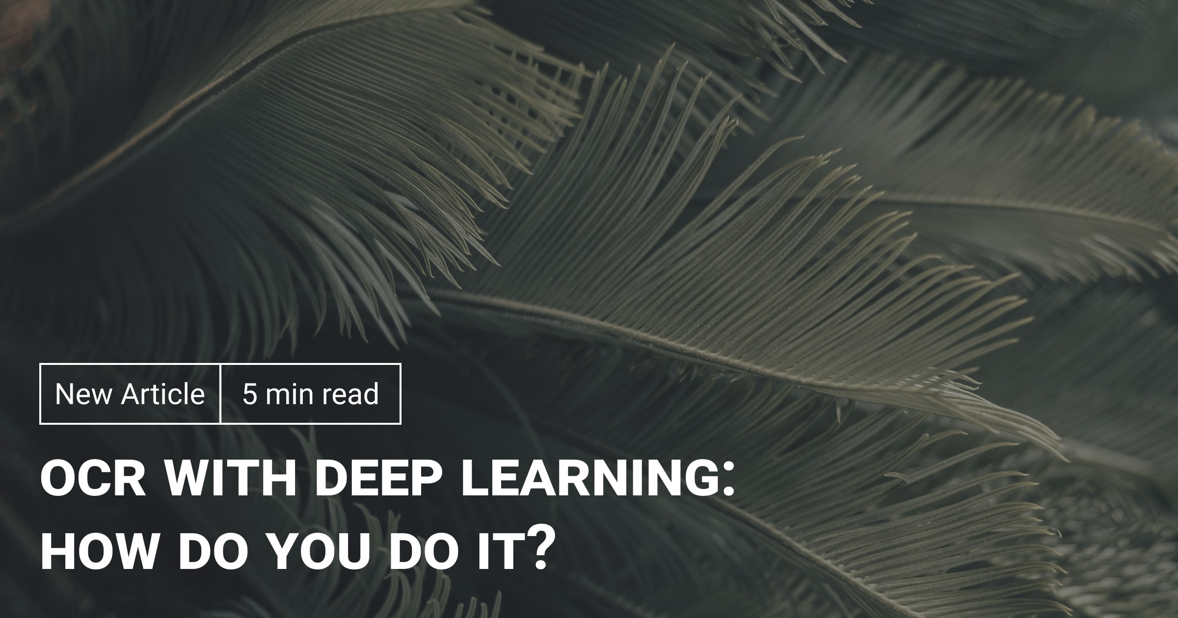 OCR Deep Learning: How Do You Do It? | Label Your Data