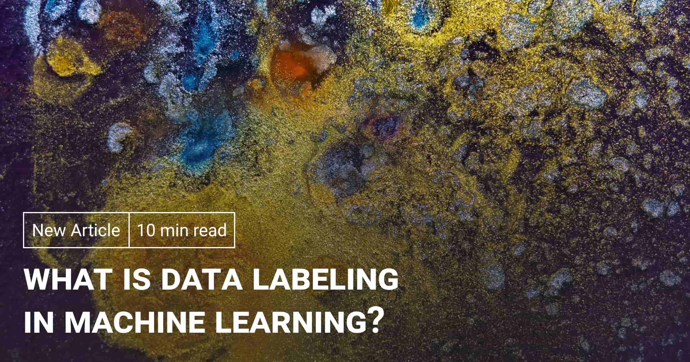 What Is Data Labeling in Machine Learning? | Label Your Data
