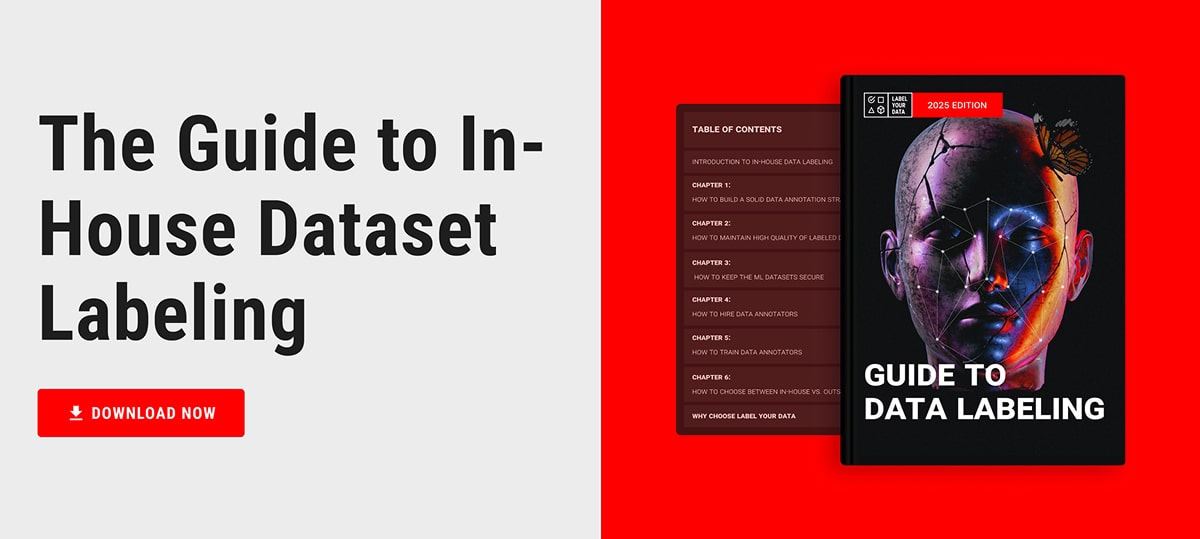 The Guide to In-House Data Labeling