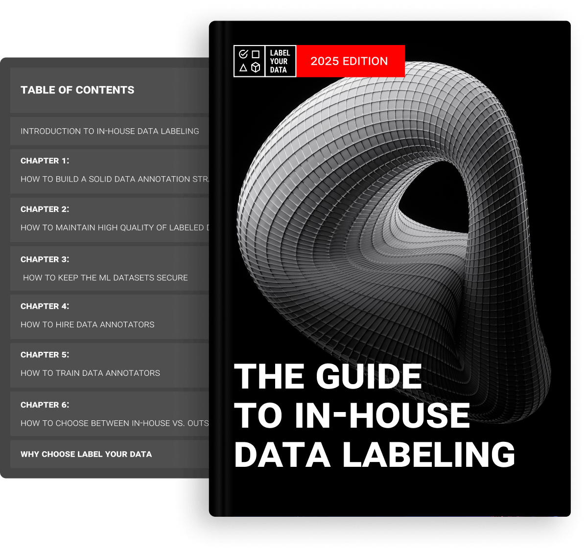 The Guide To In House Data Labeling